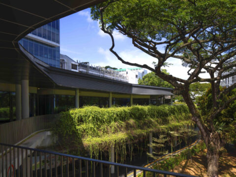 Green Mark Incentive Scheme: What Building Owners Need To Know